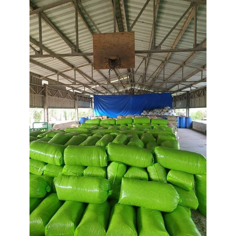 Plastic Silaj Napier/ Bag Silaj Napier 1KG (7～8pcs) | Shopee Malaysia