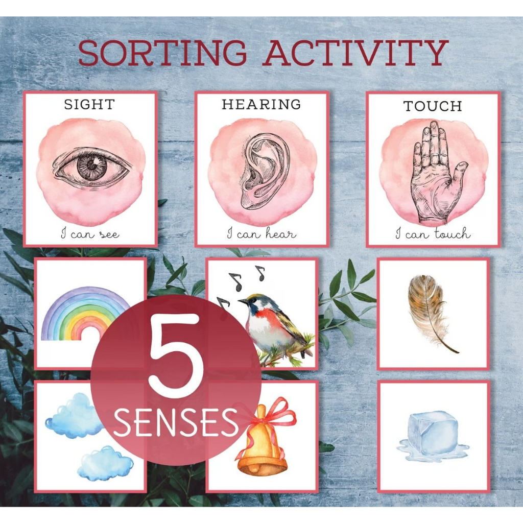 PDF] 038- Five Senses Sorting Activity Printable Montessori Toddler ...
