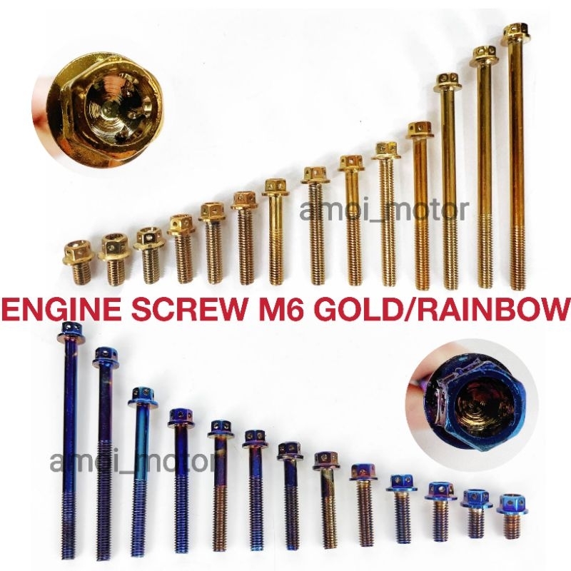1PCS M6 ENGINE SCREW M6 SIZE BOLT SKRU ENJIN GOLD UNIVERSAL RAINBOW ...