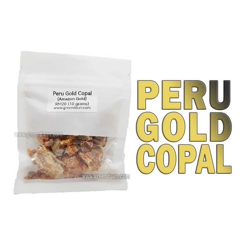 Peruvian Gold Copal Natural Raw Resin 10g Amazon Gold Mayan South ...