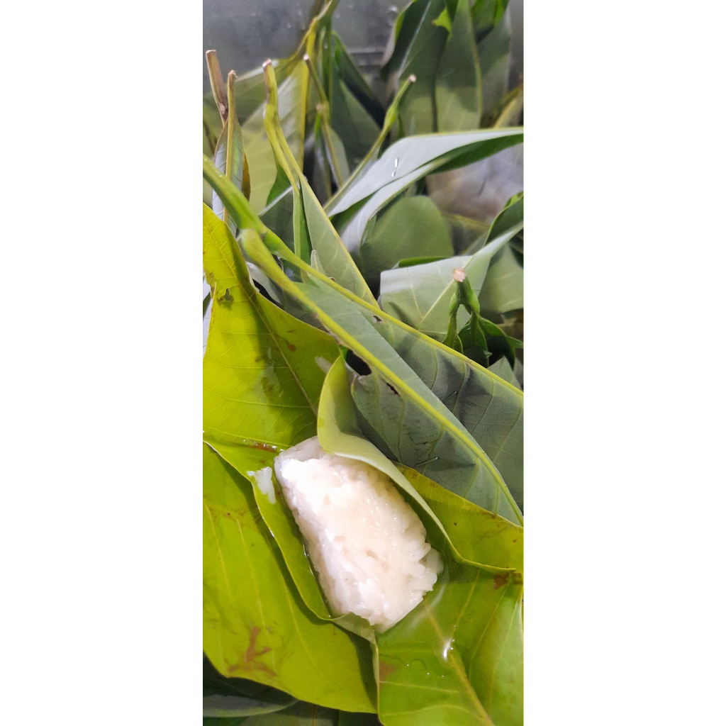 Tapai Pulut Hitam Pulut Putih dan Barli Daun Getah | Shopee Malaysia