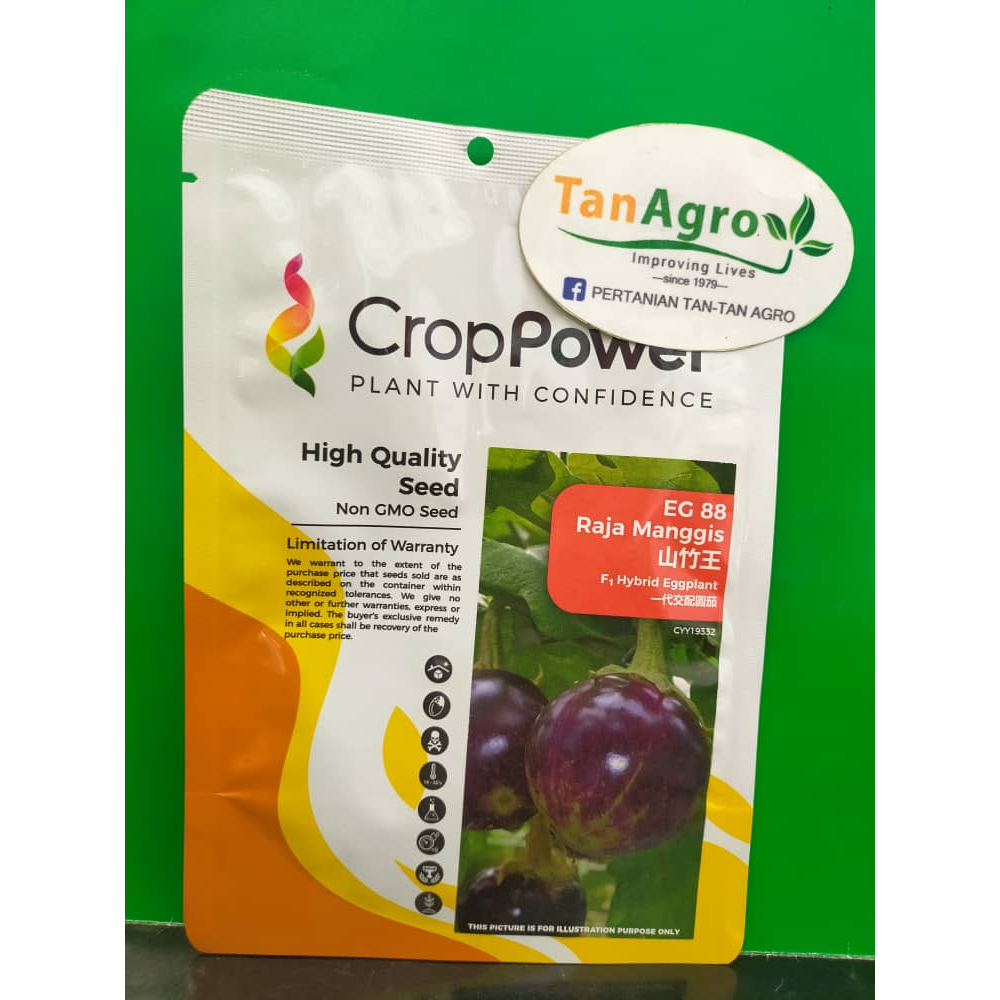👉🏻ORIGINAL👈🏻 Crop power seeds / biji benih Eggplant Raja Manggis RG 88 ...