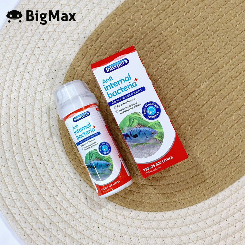 Interpet Anti Internal Bacteria (100ml) EXP:06/2025 | Shopee Malaysia