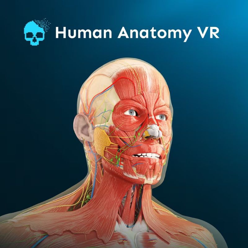 HUMAN ANATOMY VR (PS5/PS4 DIGITAL DOWNLOAD) | Shopee Malaysia