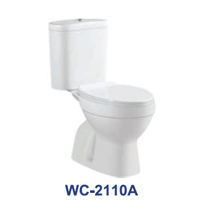 SANIWARE WC-2110A WASHDOWN TWO-PIECE CLOSET - S TRAP | Shopee Malaysia