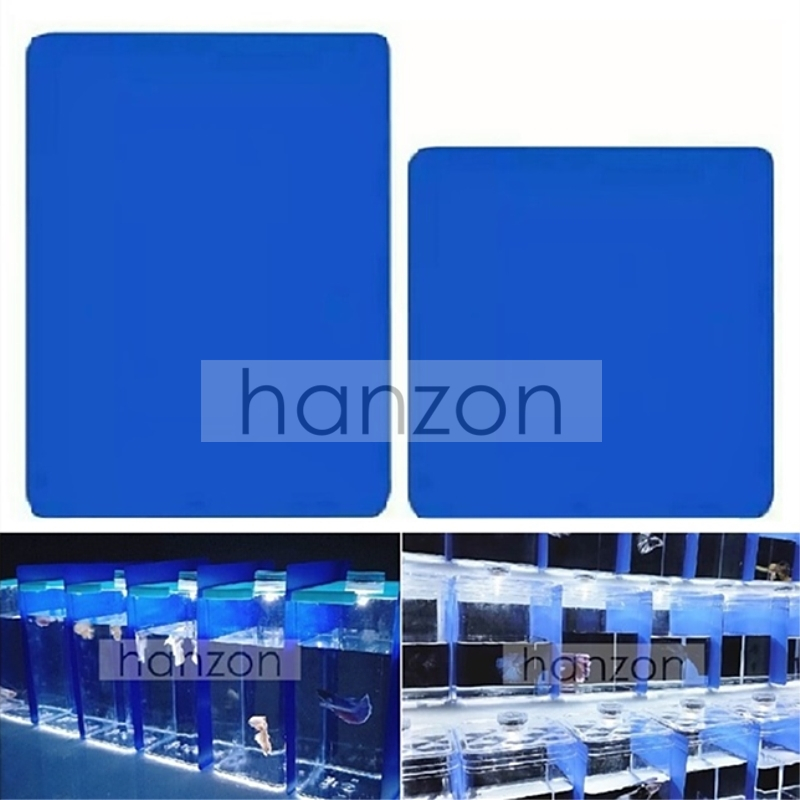 Betta Fish Plastic Card (5 pcs) (14cm x 19cm / 12cm x 12cm) | Shopee ...