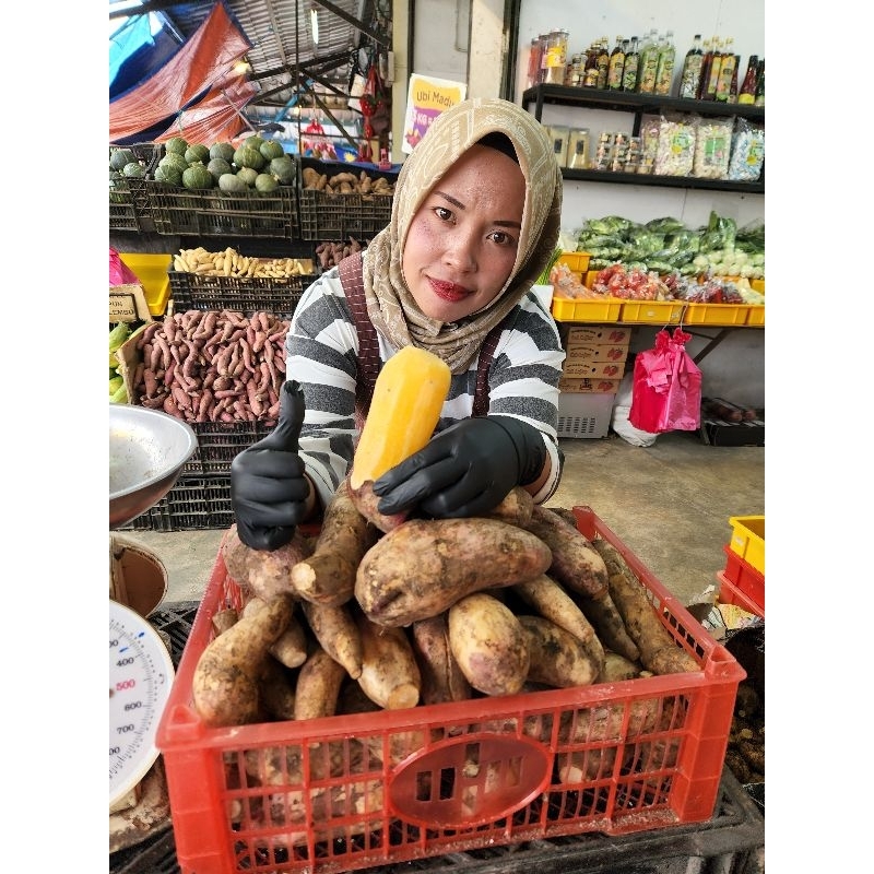 Yacon 1KG for RM 6 & 2KG for RM11 / Cameron Highlands | Shopee Malaysia