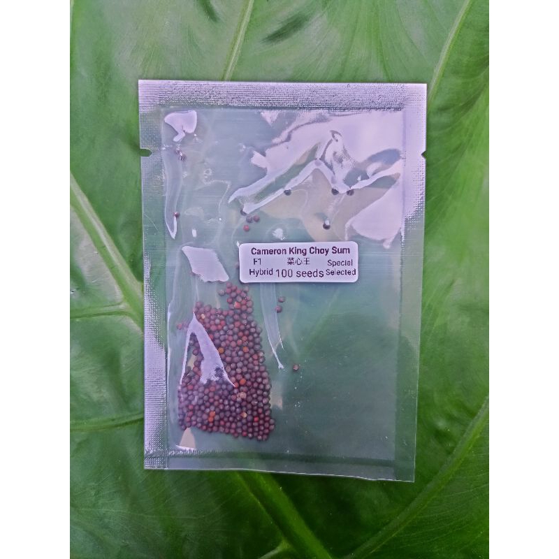 Biji Benih Cameron King Choy Sum (100 biji) | Shopee Malaysia