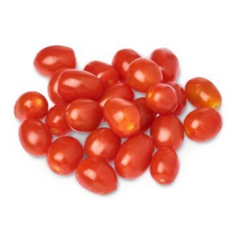 tomato chery cameron highland | Shopee Malaysia