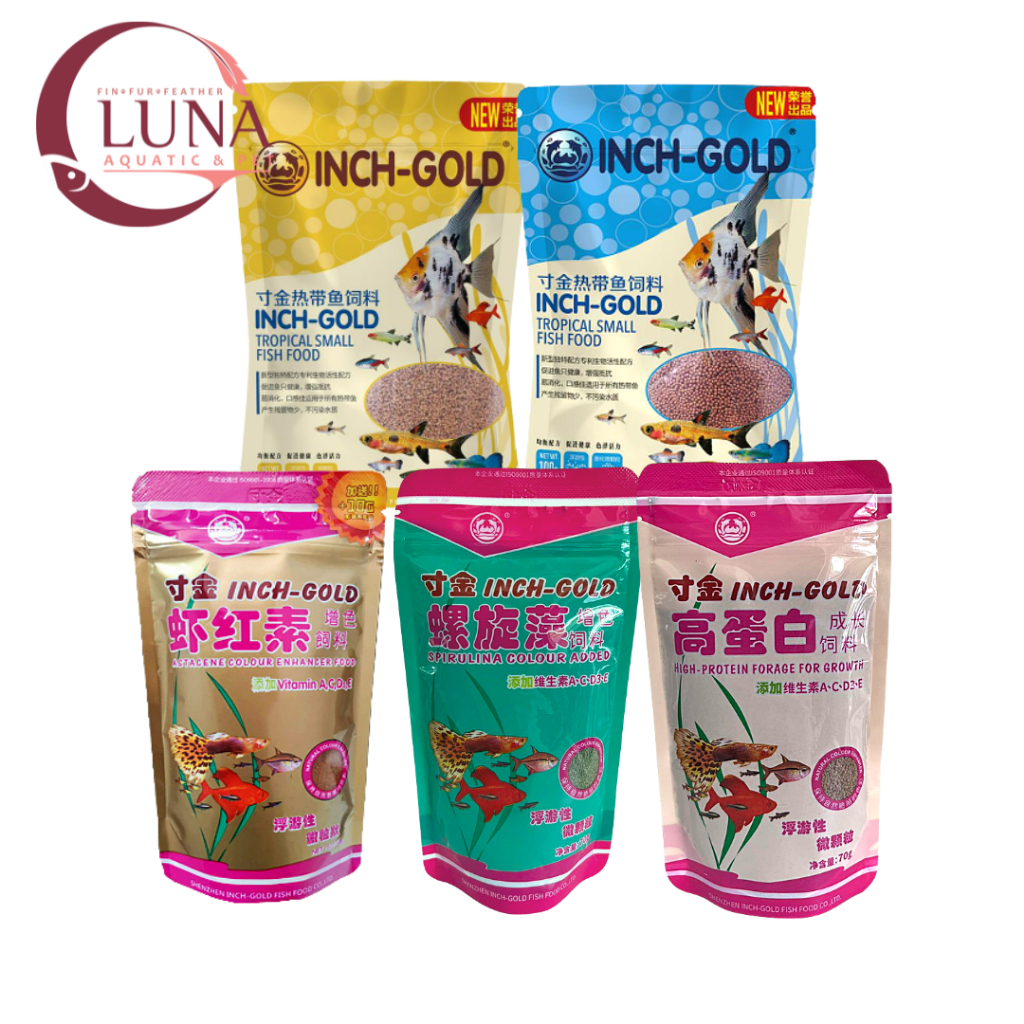 SABAH READY STOCK🔥Inch-Gold Spirulina | Inch-Gold Tropical Small Fish ...