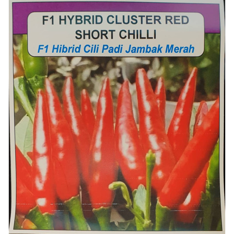 BENIH CILI PADI JAMBAK MERAH (30 BIJI) | Shopee Malaysia