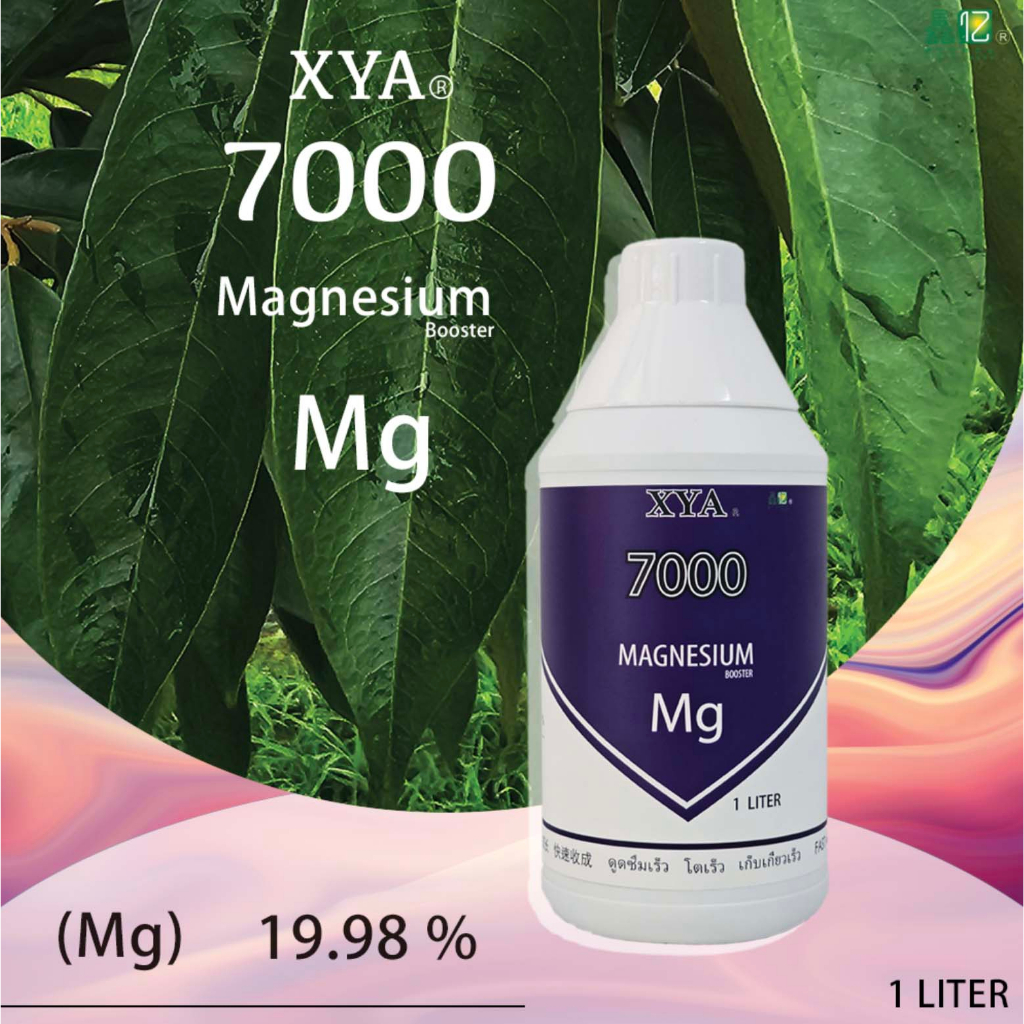 XYA 7000 (MG) Magnesium Booster 1 LITER | Shopee Malaysia
