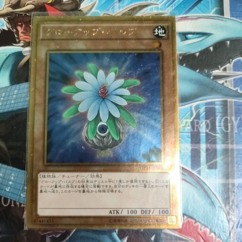 Yugioh Card 游戏王 Glow-Up Bulb GP16-JP001 STBL-JP018 SD32-JP021 | Shopee Malaysia