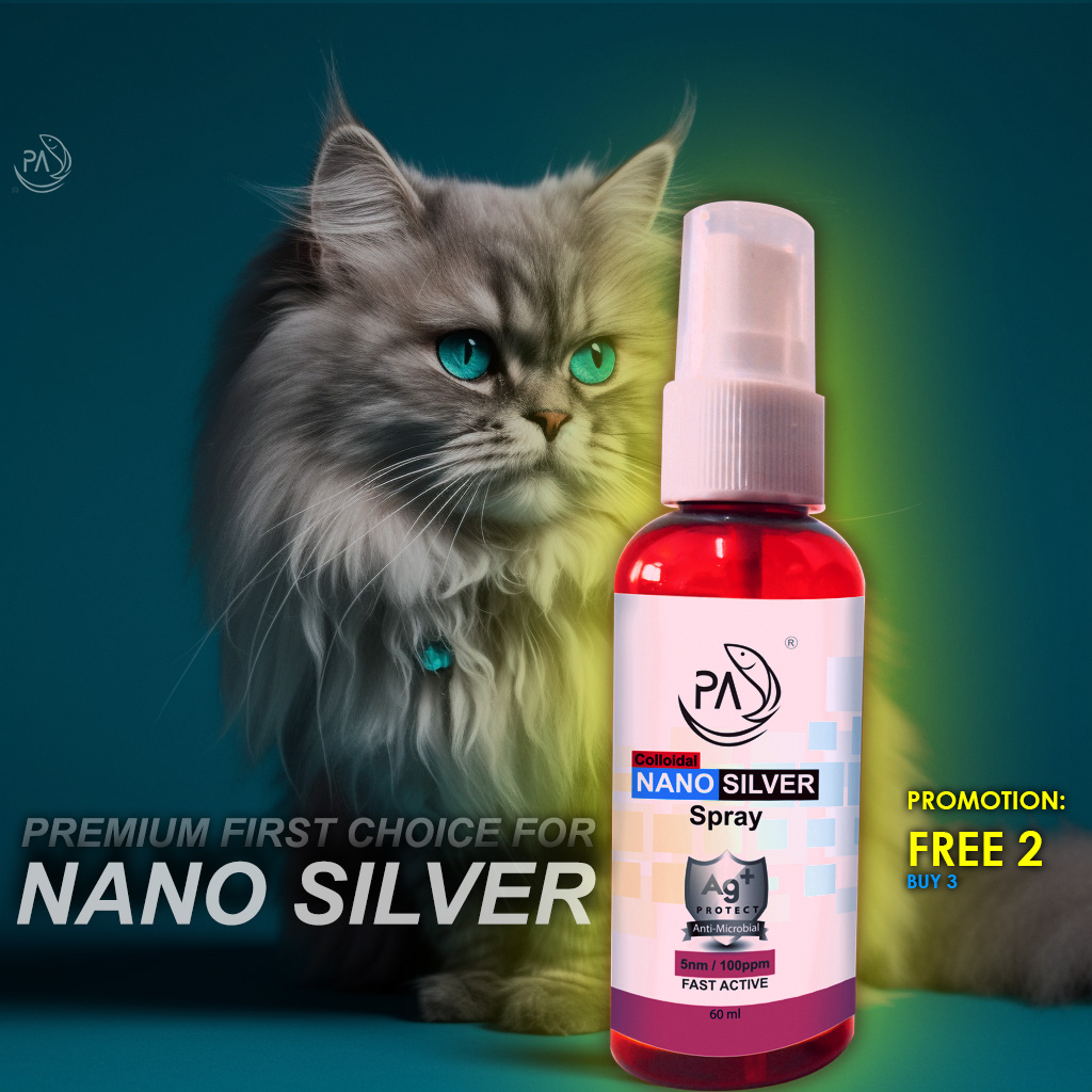 PA Colloidal Silver Nano Silver Nano Spray | Shopee Malaysia