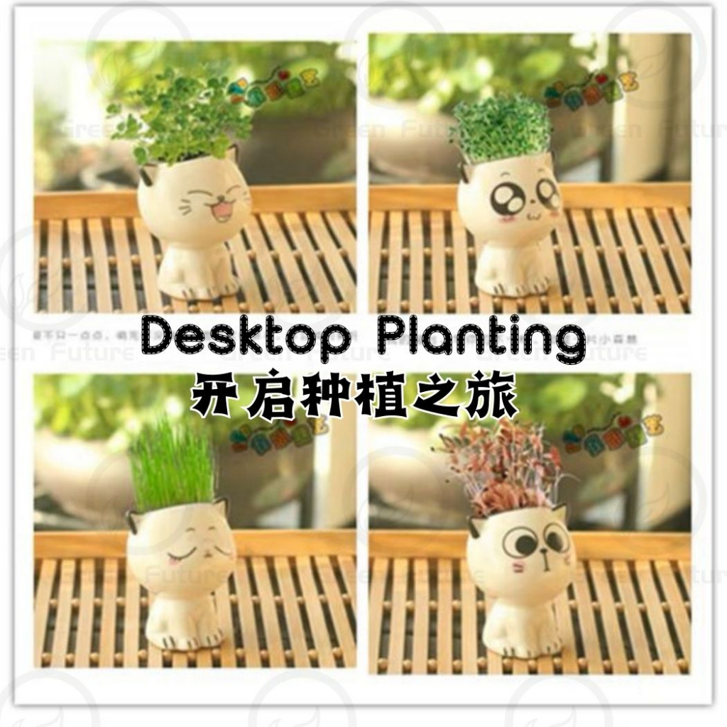 猫咪长草娃娃 Cat Grass Head Toy Planting for Children 儿童礼物 Grass Head Doll ...