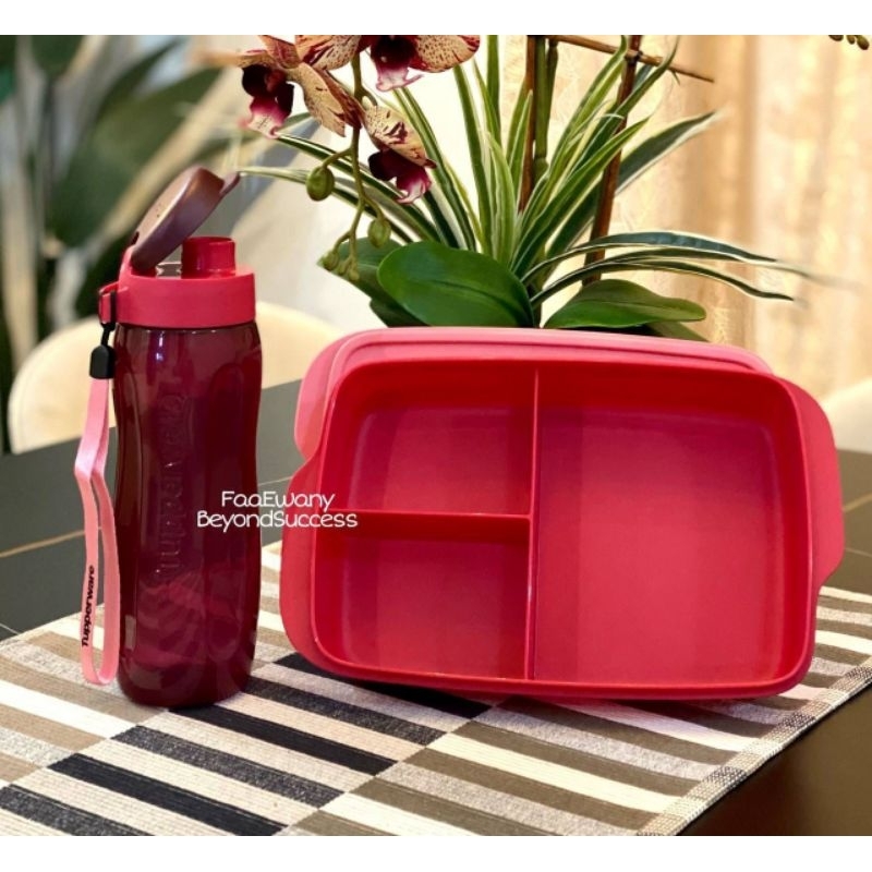 Tupperware Lunch Box/Tupperware Foodie Buddies/Tupperware Jollitup ...
