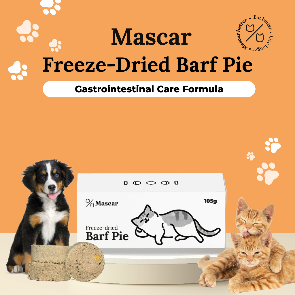 Mascar Freeze Dried Chicken Barf Pie (105G) / Raw Meat(Dry) Cat Food ...