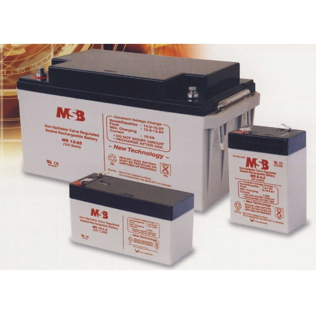 MSB MS12-12 (12V 12AH) Maintenance Free Rechargeable Sealed Lead ...