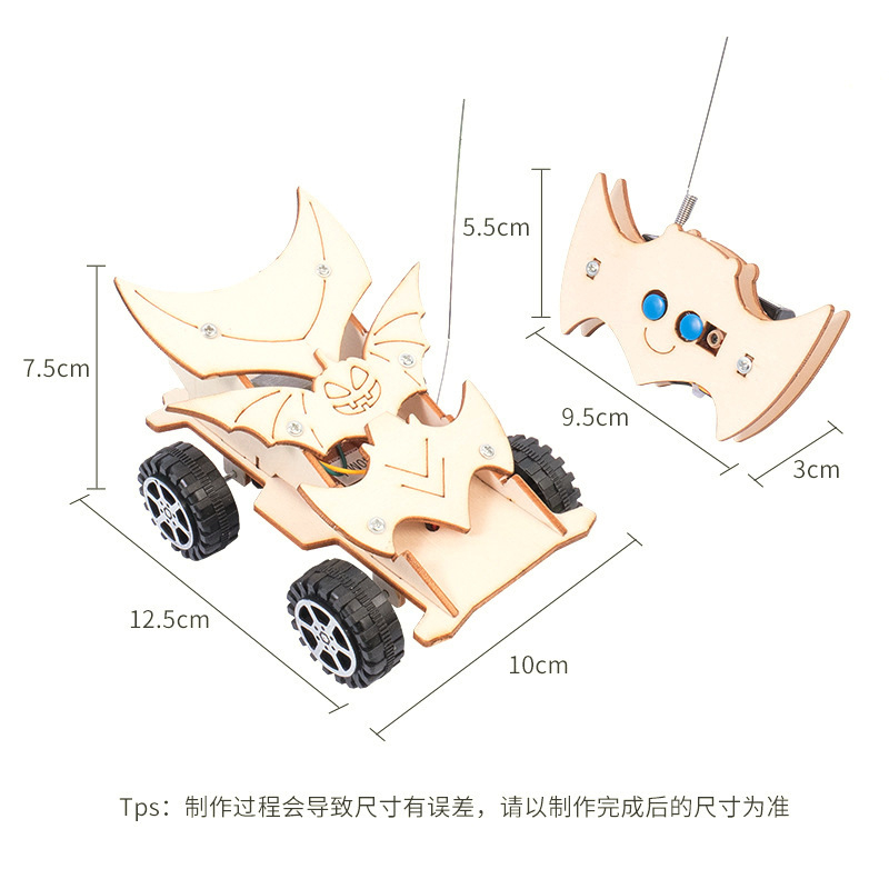 (PROJECT RBT) DIY Assembled RC Racing Car Model Kit Wooden Kids Science ...