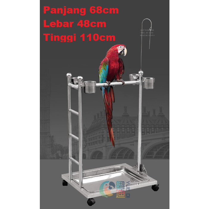 Parrot bird stand Stainless Steel Parrot Stand Large Bird, Blue and ...