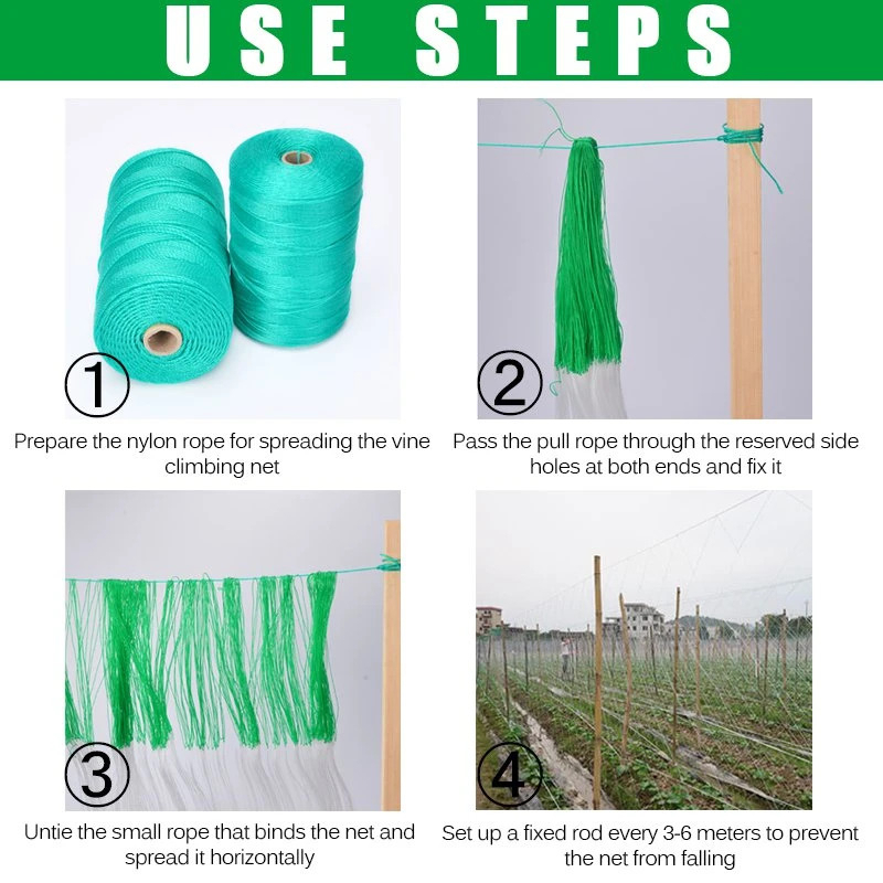 Stok ADA Peralatan Jaring Alat Taman kebun Aksesori Jaring Trellis ...