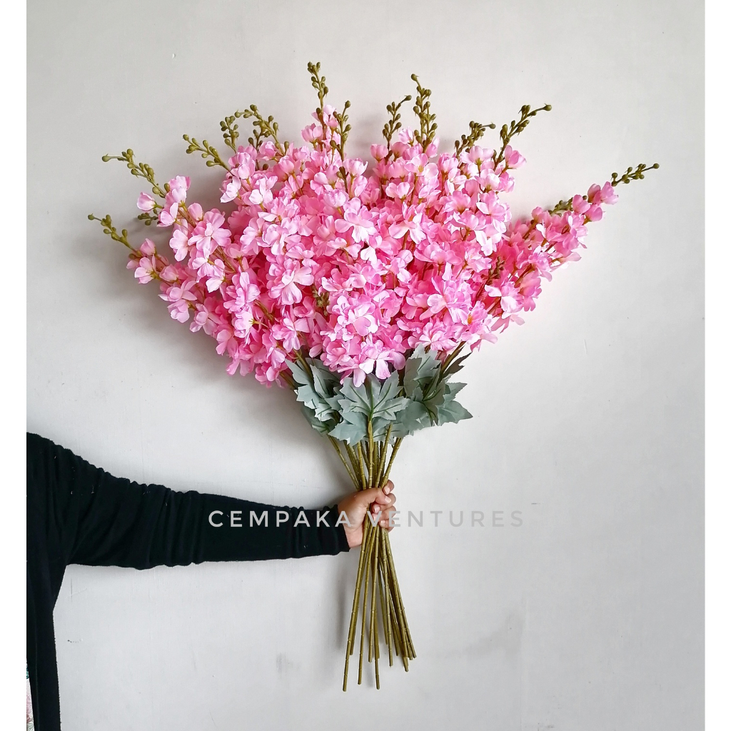 Bunga Harum Sundal Malam Bunga Jagung Hiasan Pelamin Matthiola Flower ...
