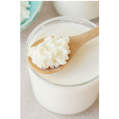 [Ready Stock] Milk Kefir Grains 5g (exact weight of Kefir only) Healthy ...