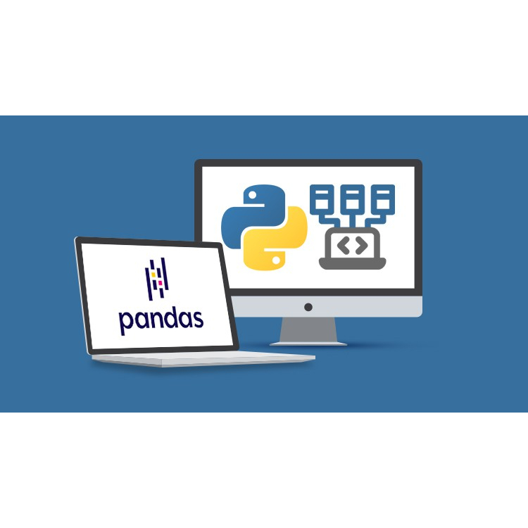 Course Python Programming Bundle Intro To Python Pandas And Oop