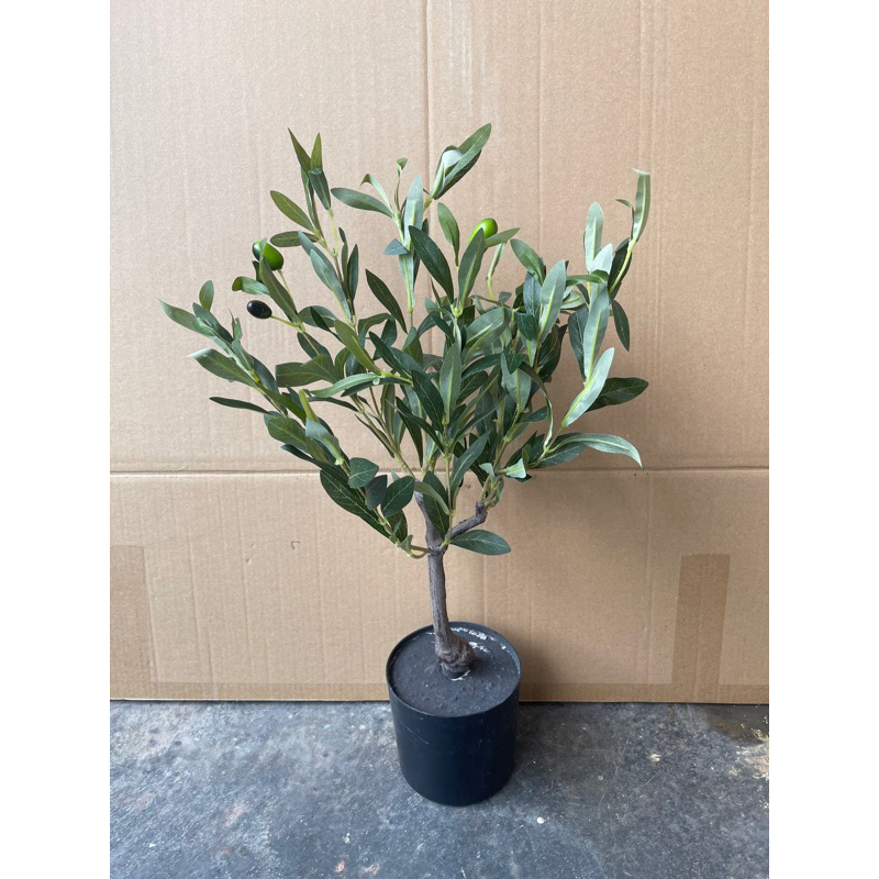 Pokok viral PREMIUM skybird,BAMBOO palm tree,monstera,Artificial ...