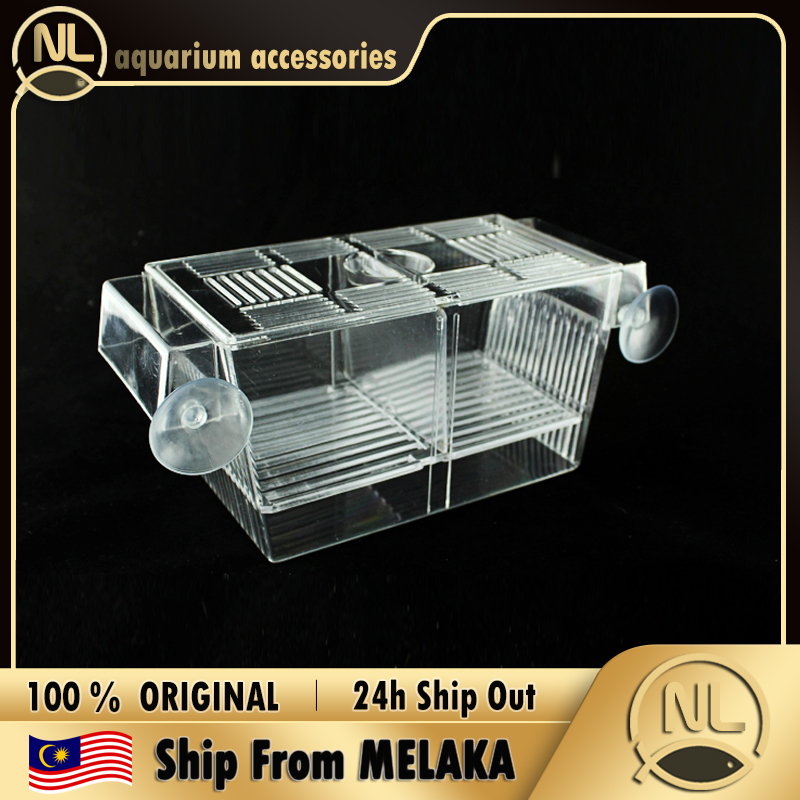 Acrylic Fish Bredding Isolation Aquarium incubator box tank Fry Trap ...