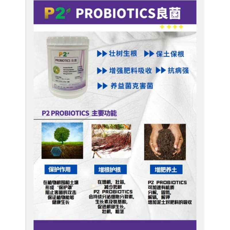 P2 probiotic 良菌肥 - 爆根专用 | Shopee Malaysia