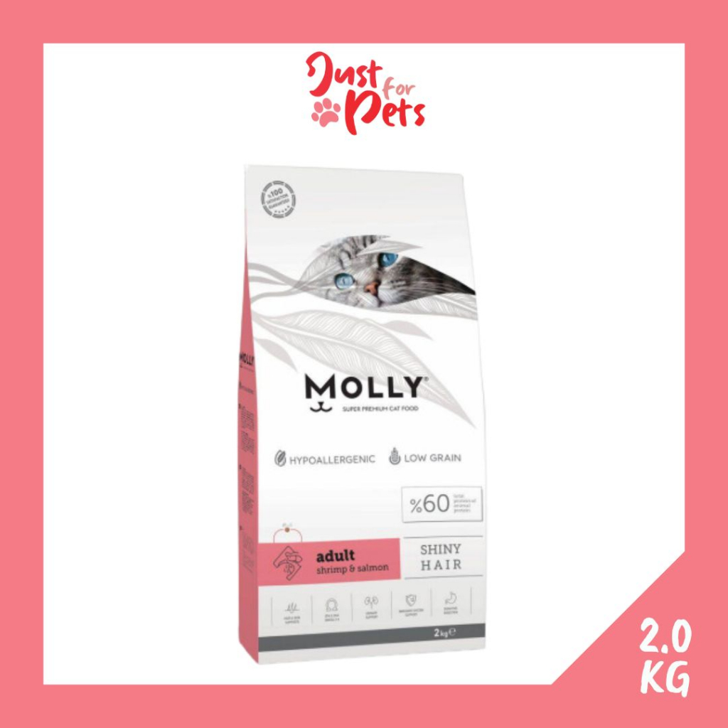 Molly Super Premium Cat Food 2kg (Kitten / Shiny Hair / Renal Care ...