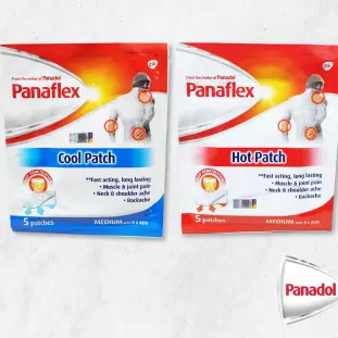 Panaflex Pain Relief Patch 5 Patches (Cool /Hot) | Shopee Malaysia