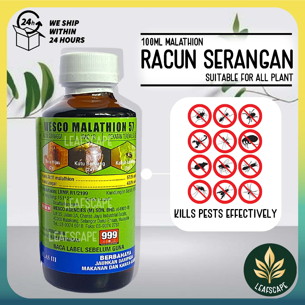 Racun Serangan 100ML Wesco Malathion Kutu Putih Kutu Pokok Insecticide ...