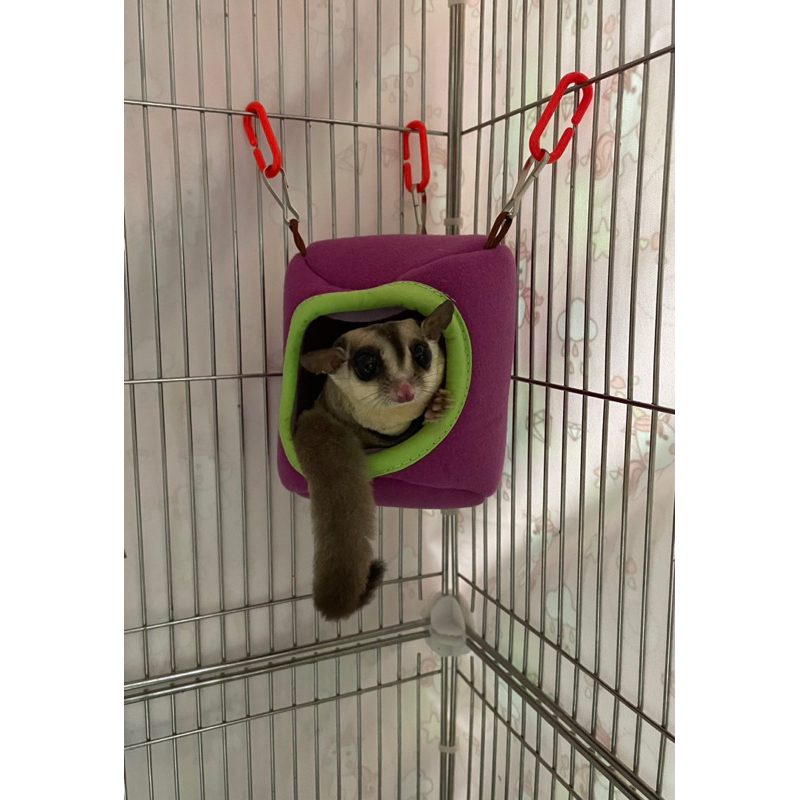 Small animal hanging pouch / sleeping bed | Shopee Malaysia
