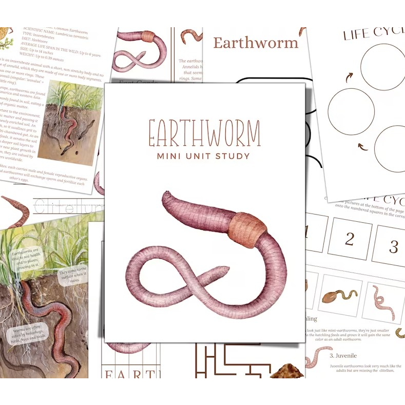 PDF] Earthworm Unit Study Home Learning Kids Printable Montessori ...