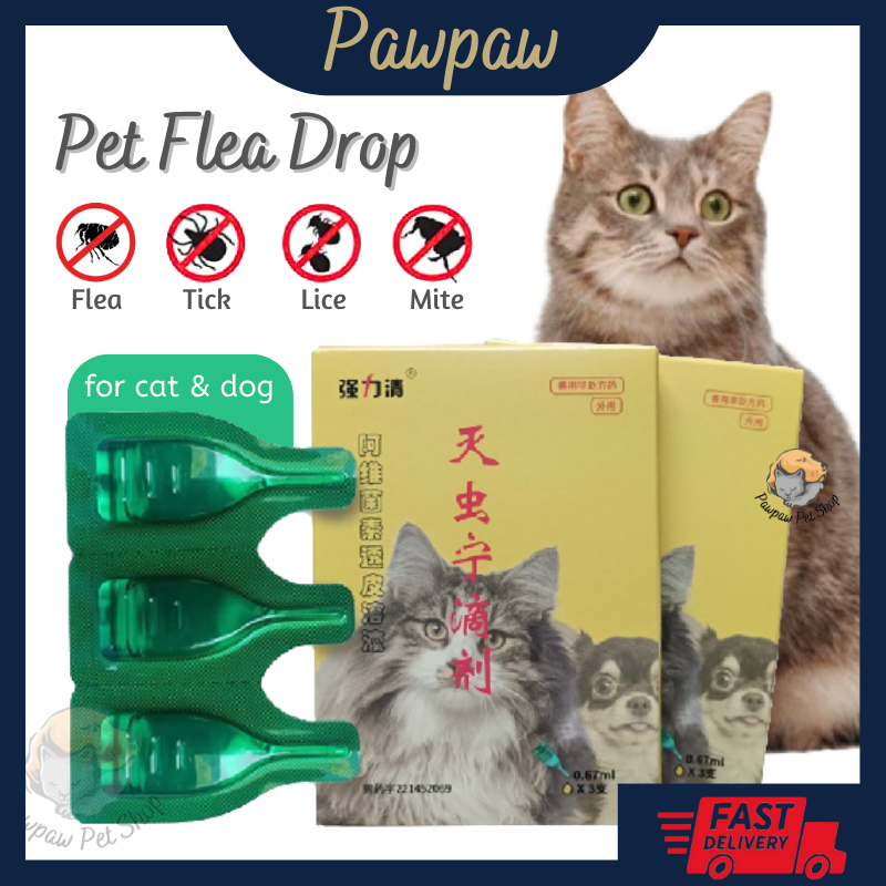 Pawpaw Pet Dog Cat Anti Flea Tick Medicine Treatment Drop Hama Obat ... Pawpaw Pet Dog Cat Anti Flea Tick Medicine Treatment Drop Hama Obat ...