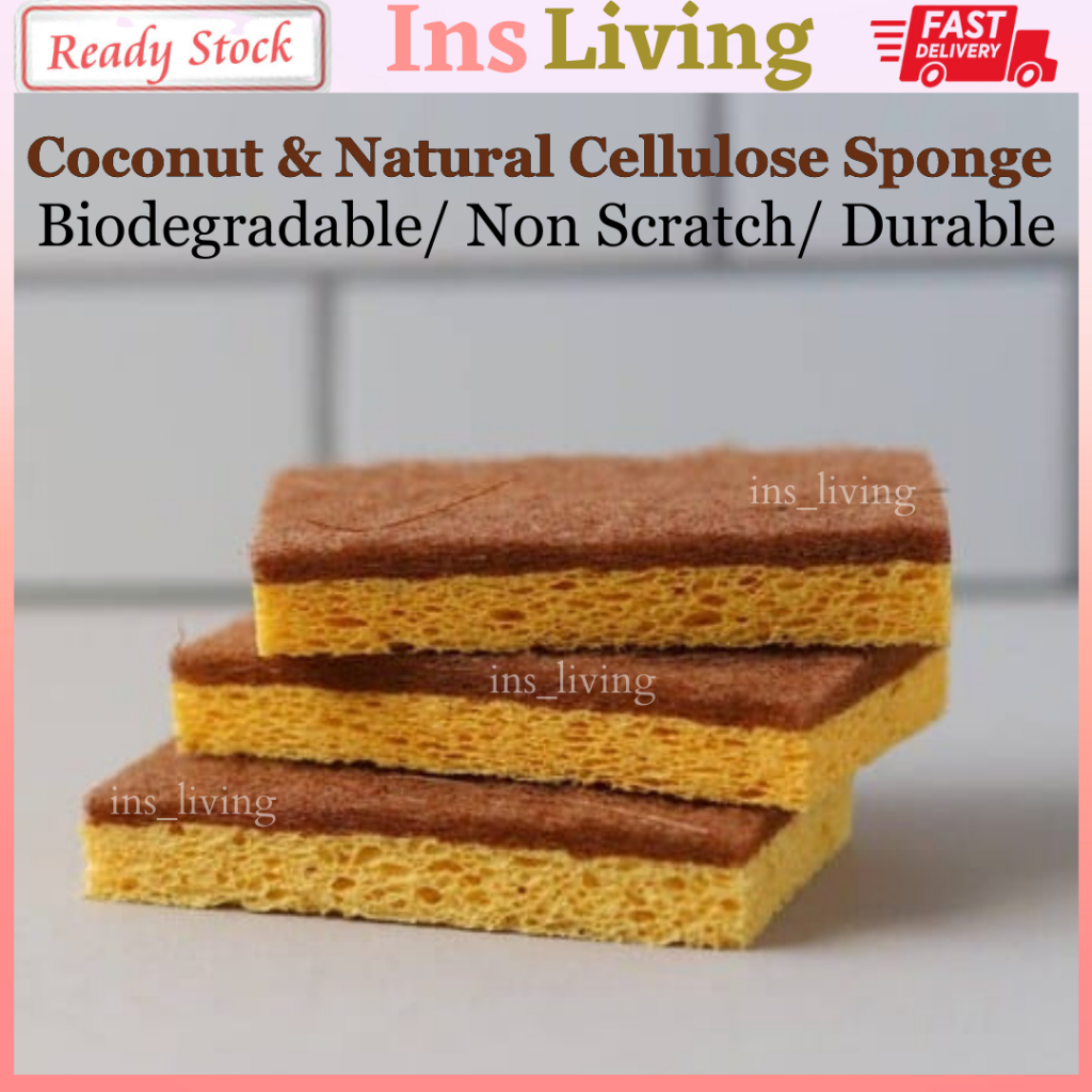 1pc/6pc Double Sided Natural Coconut Fiber Wooden Sponge Cellulose ...