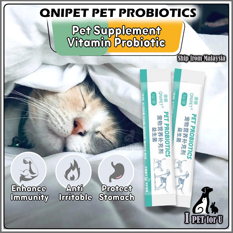 Pet Probiotic Cat Probiotic Dog Probiotic Pet Supplement Cat Supplement ...