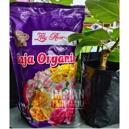 (NEW PACKAGING) 1KG Zetty Rose Baja Organik Subur Viral Tanaman Hiasan ...