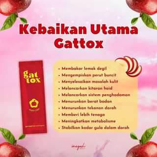 Gattox / Guttox Inayah Beauty / Gat Tox Gut Food Apple Cider Fat Burner ...
