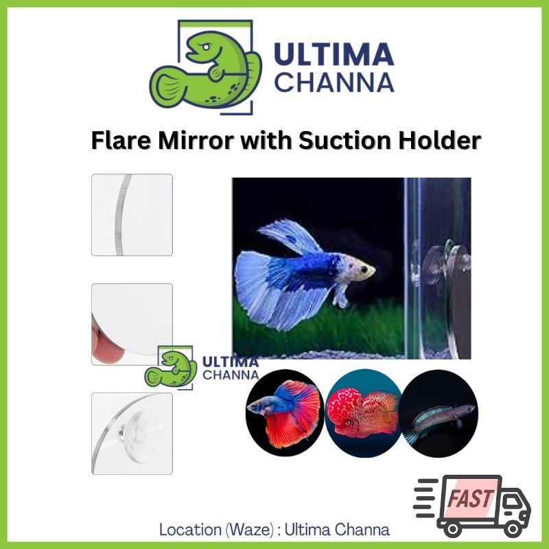 [Ready Stock] Aquarium Fish Flare Mirror with Holder - betta fighting ...
