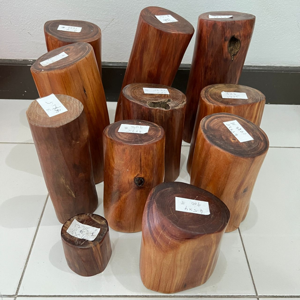 Raja Kayu Asli 帝王木 | Shopee Malaysia