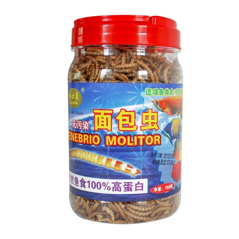 Dry Mealworm Ulat Ikan Arowana Kering Ulat Roti Super Worm 150g面包虫干 ...