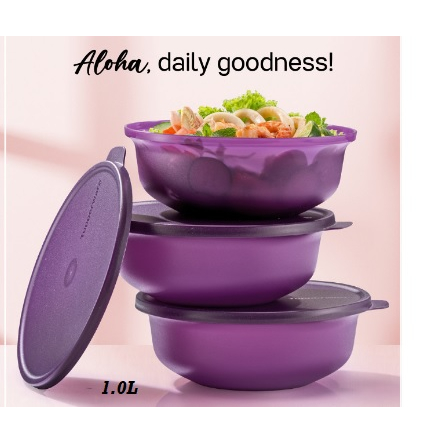 Tupperware Aloha Bowl (4)/(8) 1 Litre Airtight Bekas Kuih Indoor ...