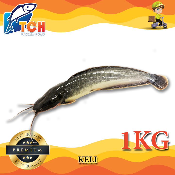 IKAN KELI, CAT FISH, TCH FROZEN FOOD, FRESH FROZEN SEAFOOD, WHOLESALE ...