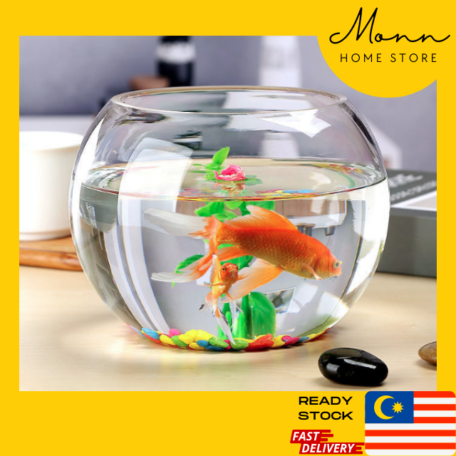 [READY STOCK] MONN Fengshui Mini Round Glass Aquarium for Small Fish ...