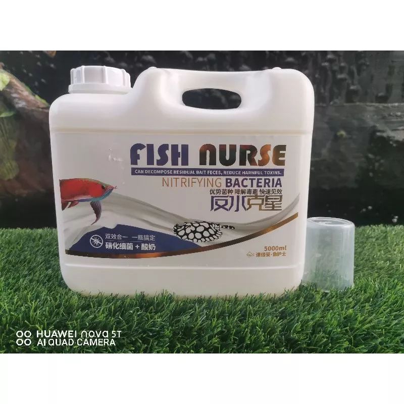 5L Fish Nurse Yogurt Becteria (Biru) | Shopee Malaysia