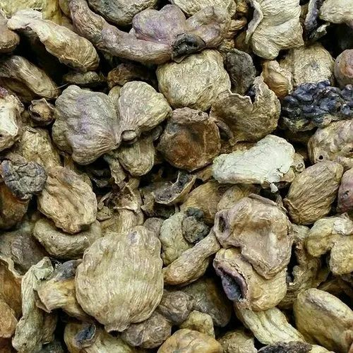 bunga kedekai buah kadakai harad phool (Terminalia Chebula) Myrobalan ...