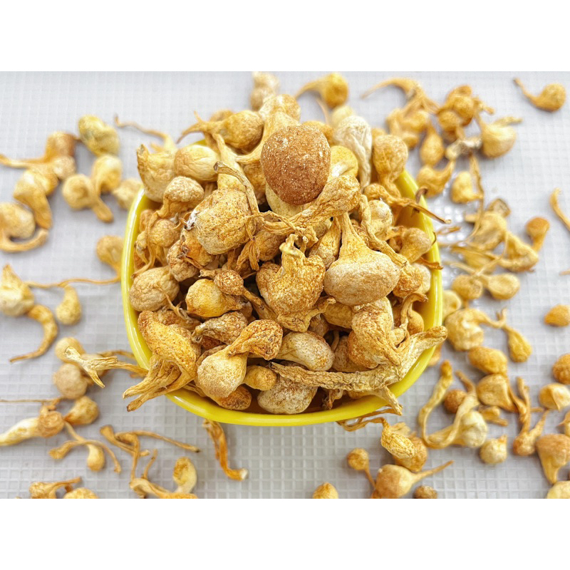 精选无硫磺 泡子头 蟲草花 孢子头虫草 虫草花Cordyceps Spore | Shopee Malaysia